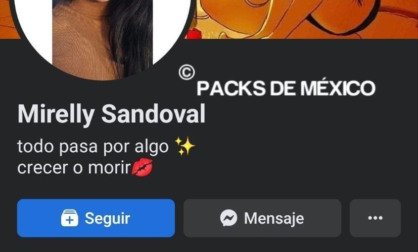 Quintana Roo – Página 7 – Packs de Mexico